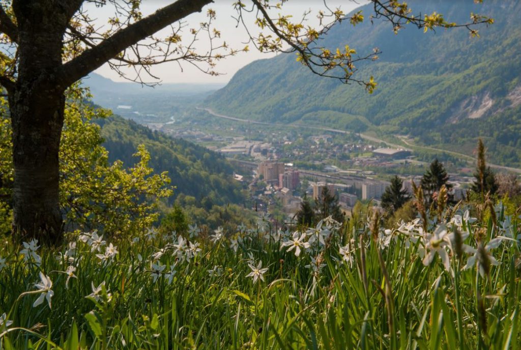 Spoznajte Jesenice I Zgodovinska mesta